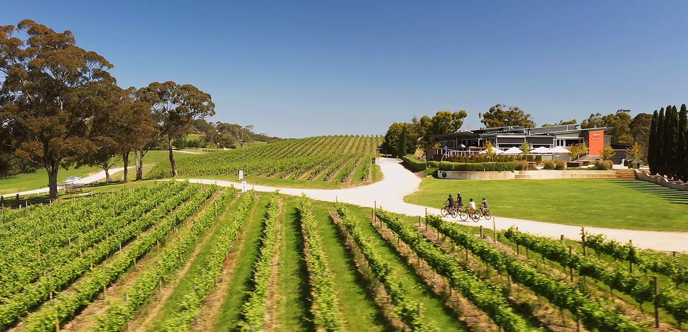 Wellness wander | Well Traveller