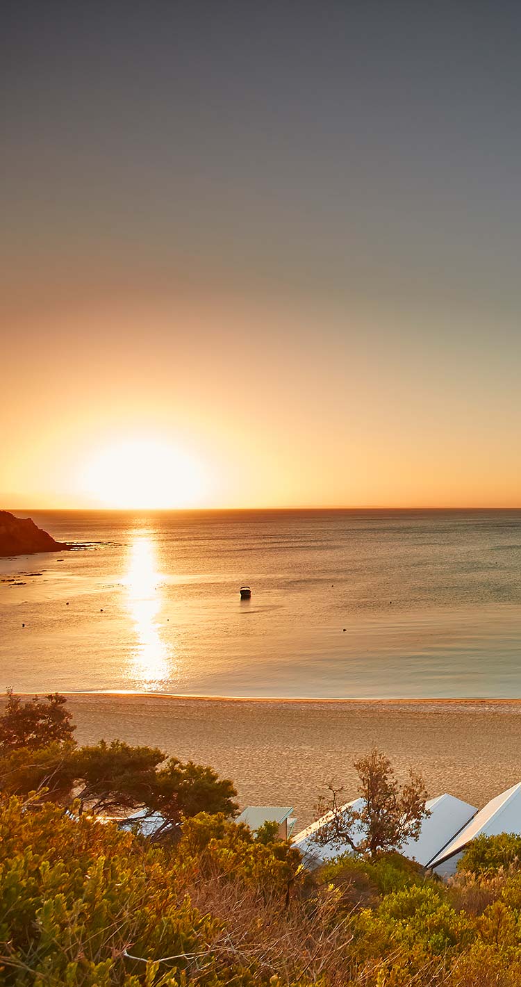 Tropical Fruit World | Well TravellerWell Traveller