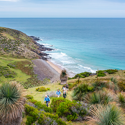 Dale Tilbrook Experiences | Well TravellerWell Traveller