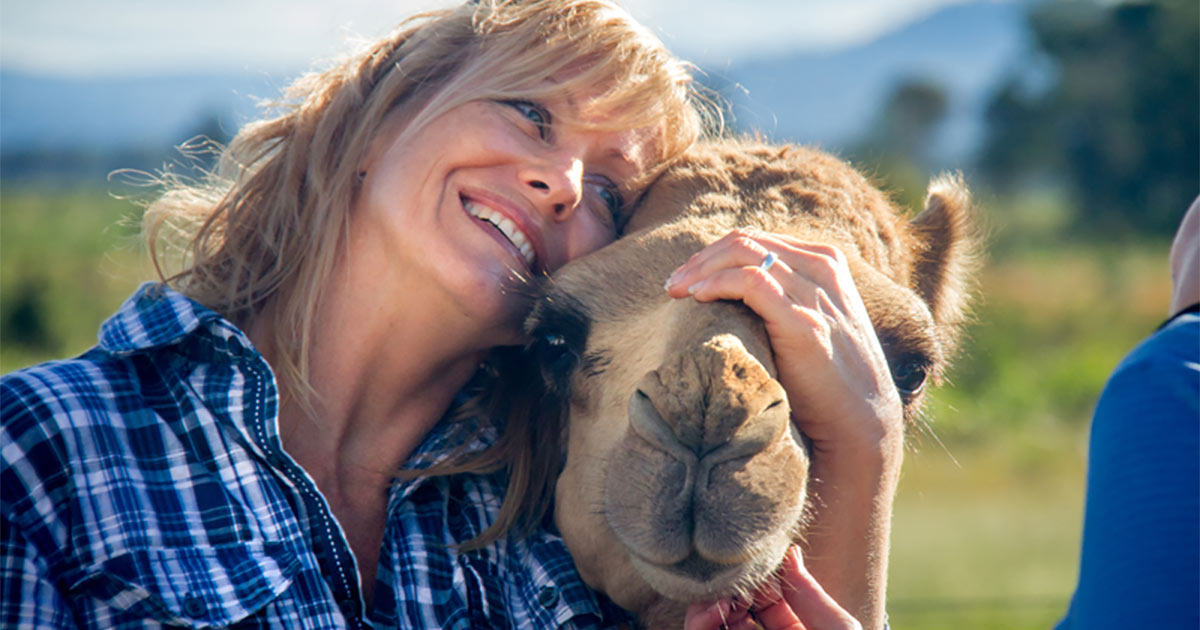 Camel Cuddles Farm Gate Tours | Well Traveller | Sunshine Coast