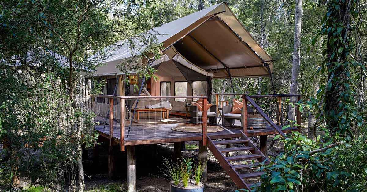 Paperbark Camp | Well Traveller