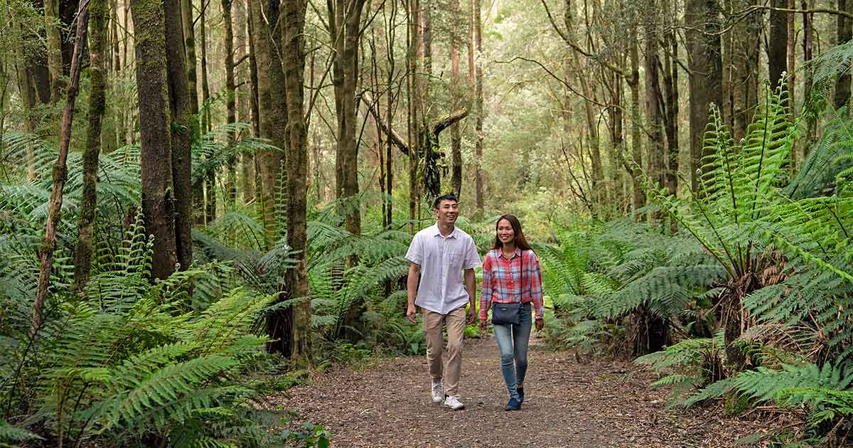 The Best Wellness Getaways in Victoria | Well Traveller