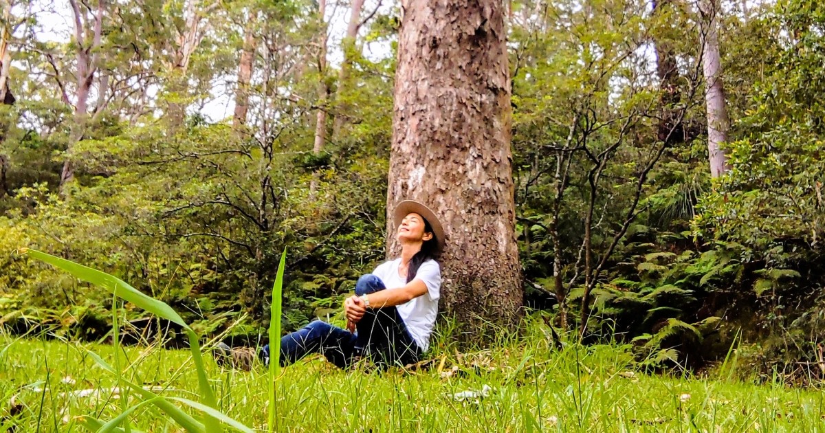 Forest Minds | Well Traveller