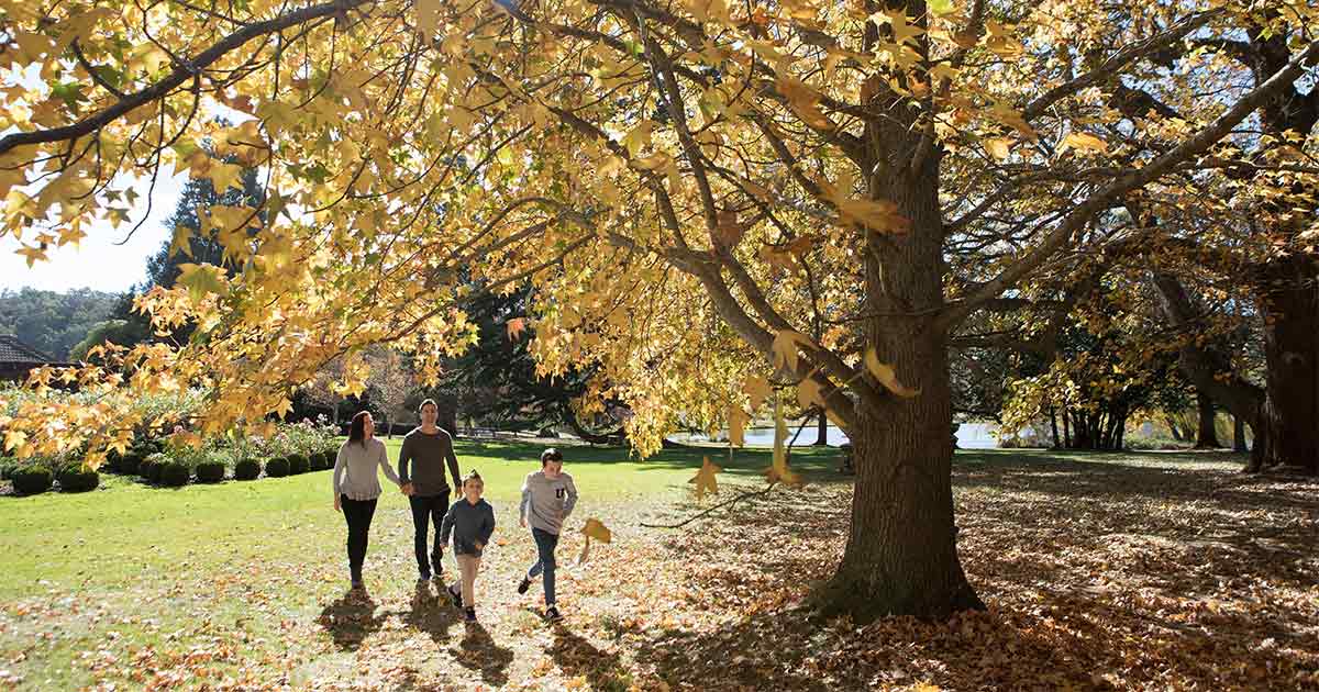 Southern Highlands | Well Traveller