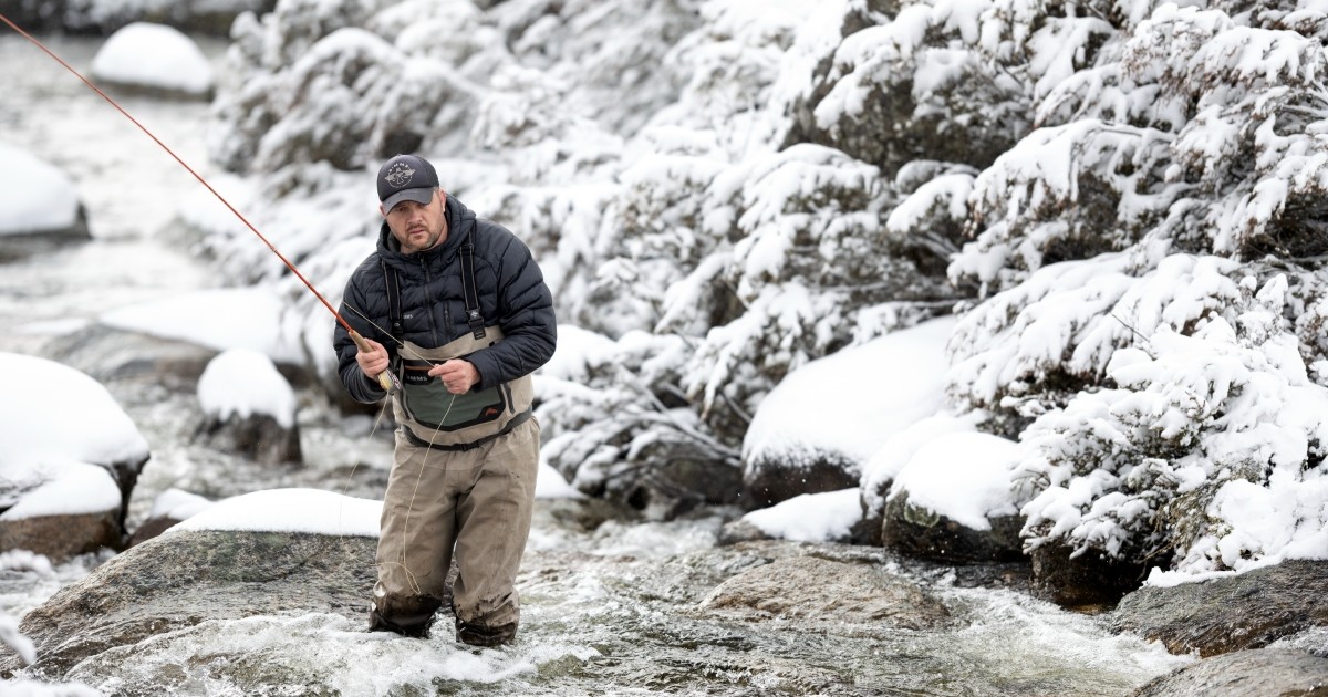 The Fly Program | Well Traveller